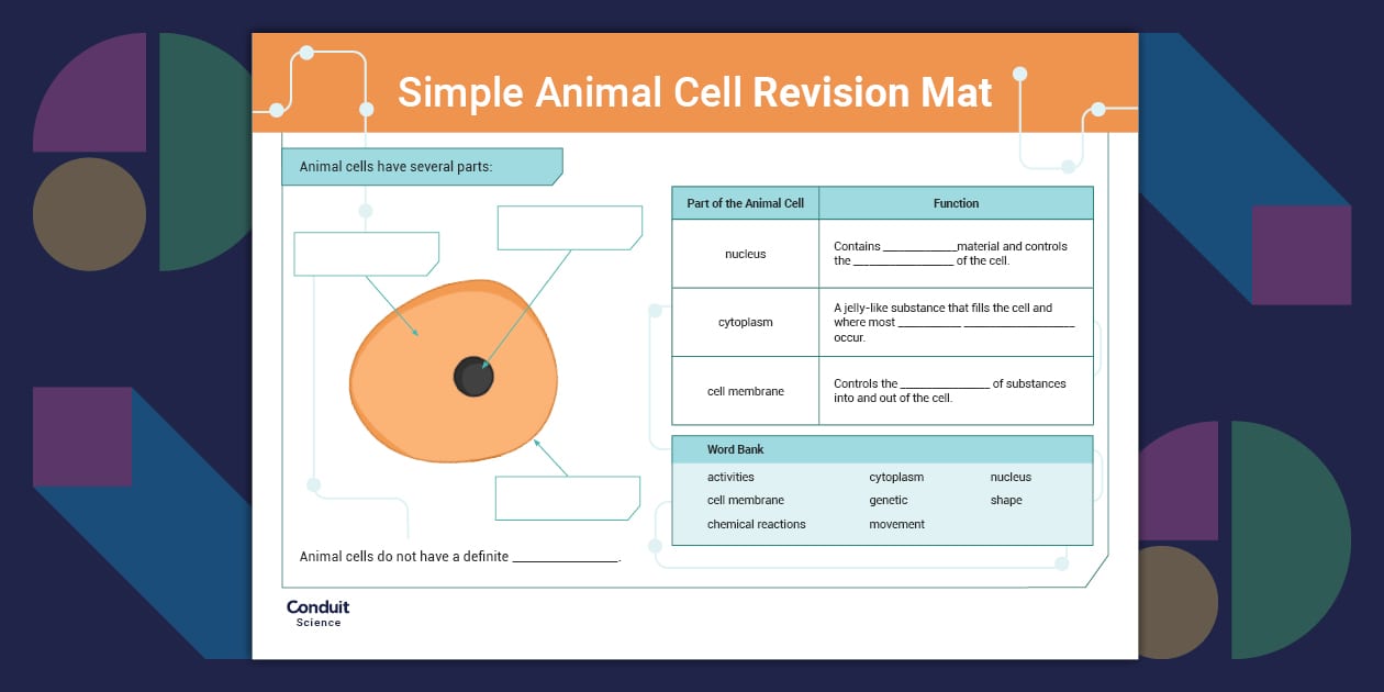 Simple Animal Cell Revision Mat (teacher made) - Twinkl