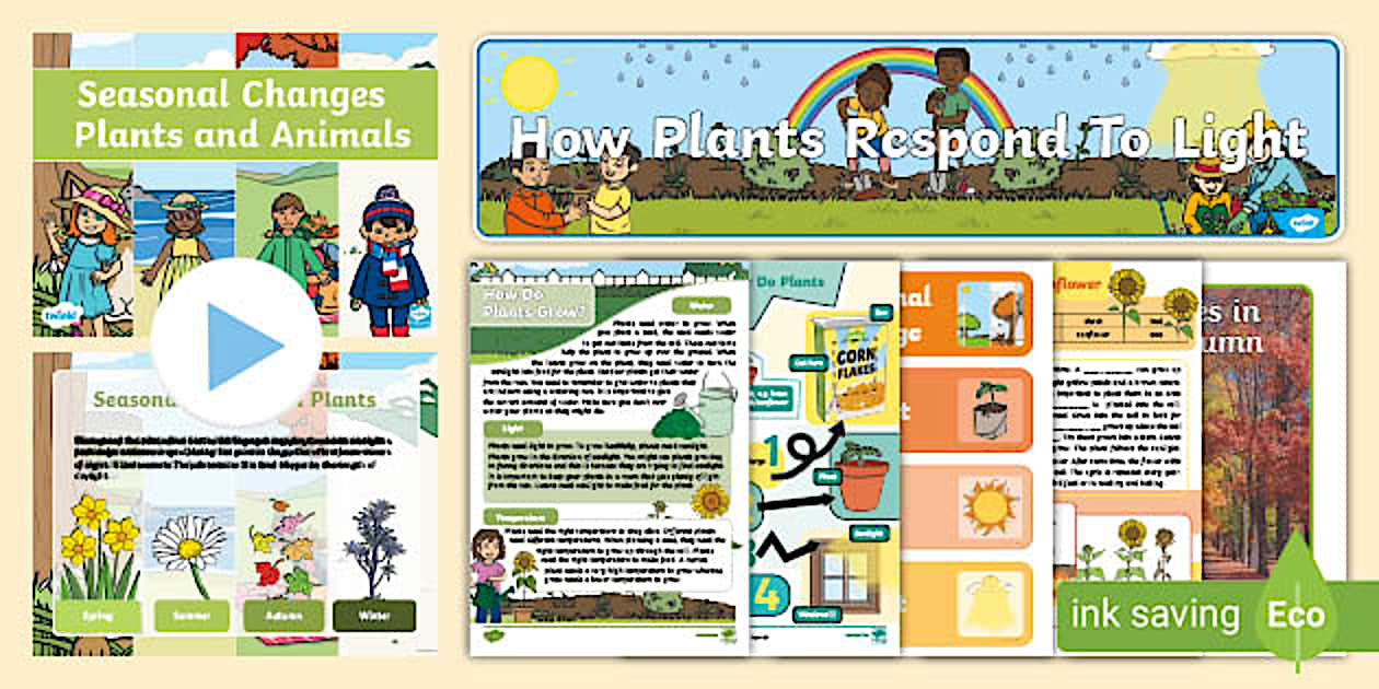 Processes of life Resource Pack (teacher made) - Twinkl