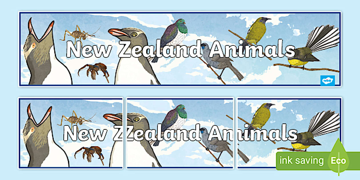 New Zealand Animals Display Banner (teacher made) - Twinkl