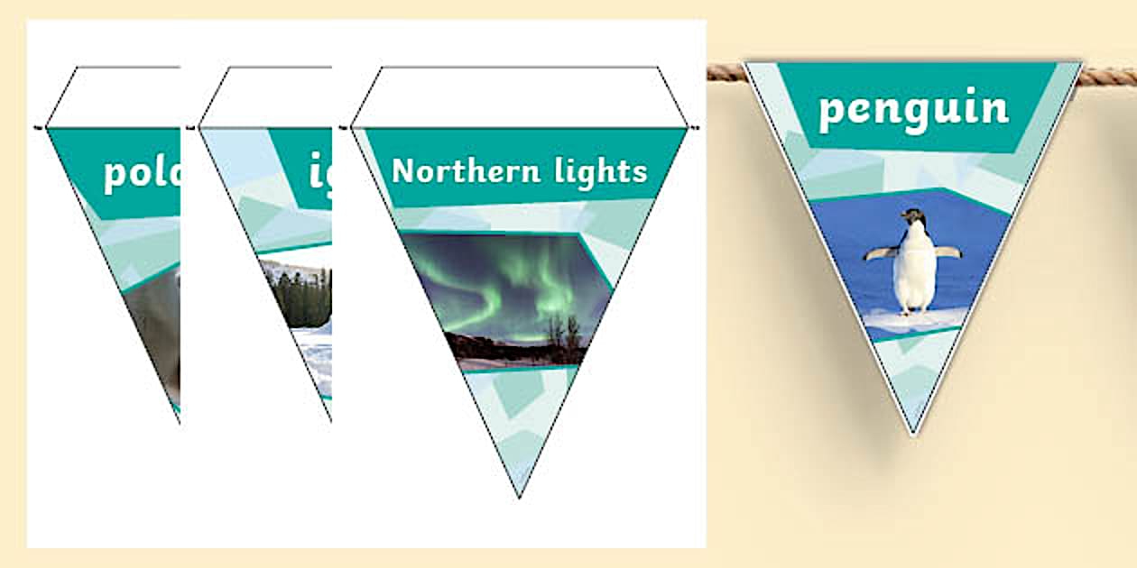 Polar Regions Display Photo Bunting (teacher made) - Twinkl