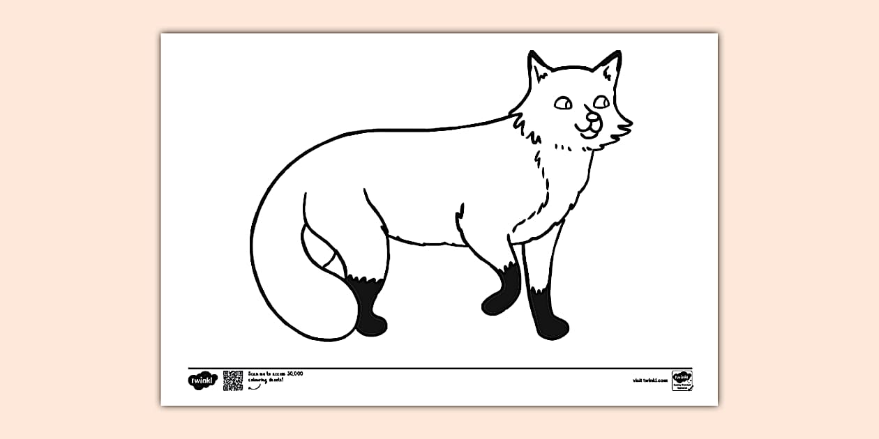 Cartoon Fox Colouring Page | Colouring Sheets (teacher made)