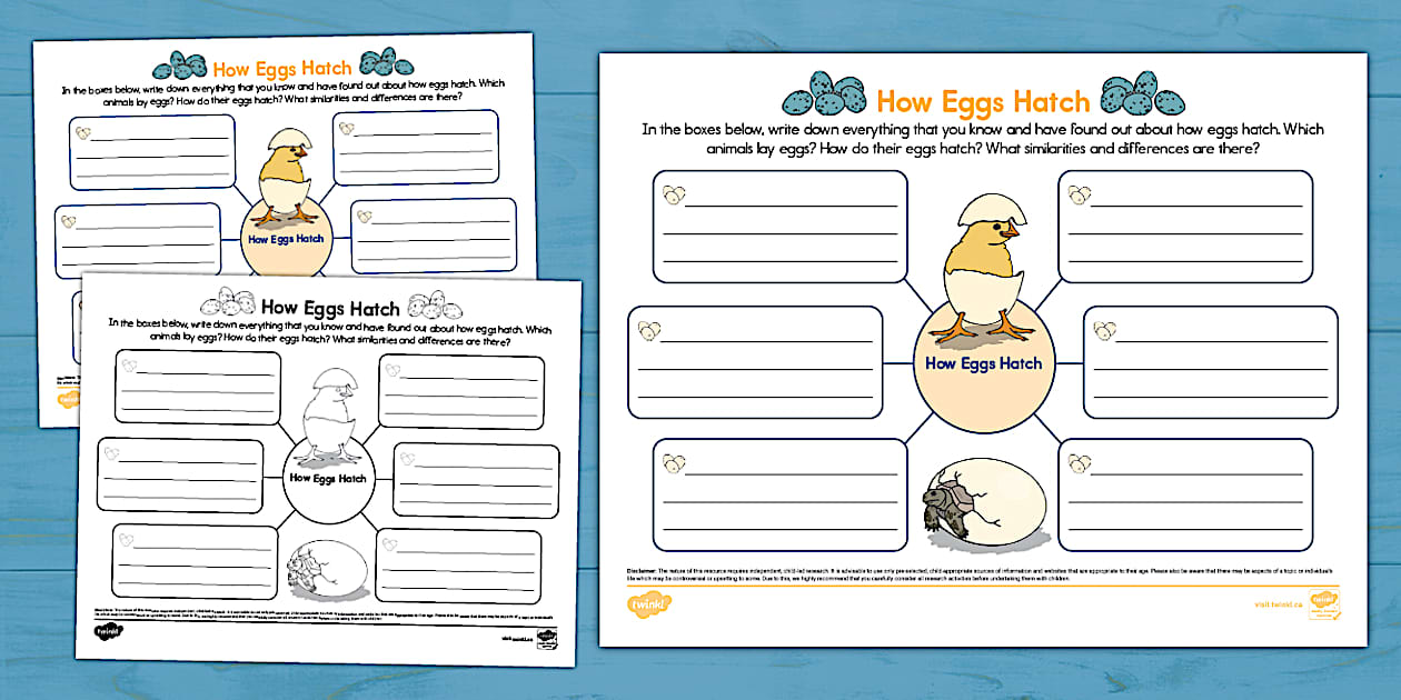 How Eggs Hatch Mind Map (teacher made) - Twinkl