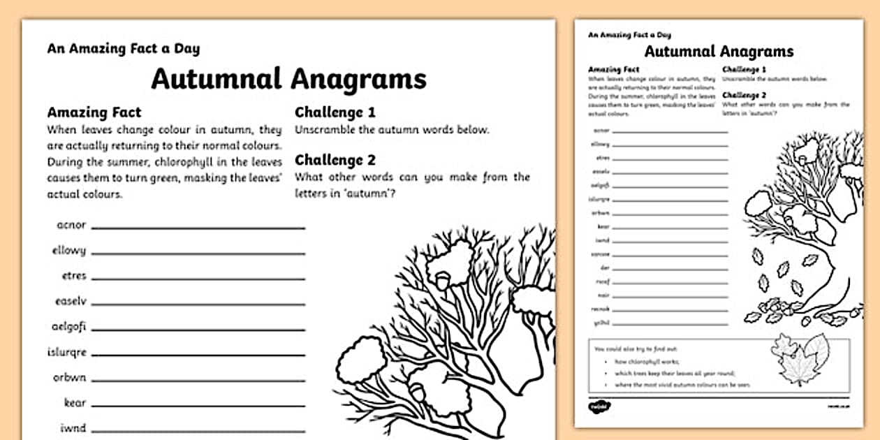 Editable Autumnal Anagrams Worksheet (Hecho por educadores)