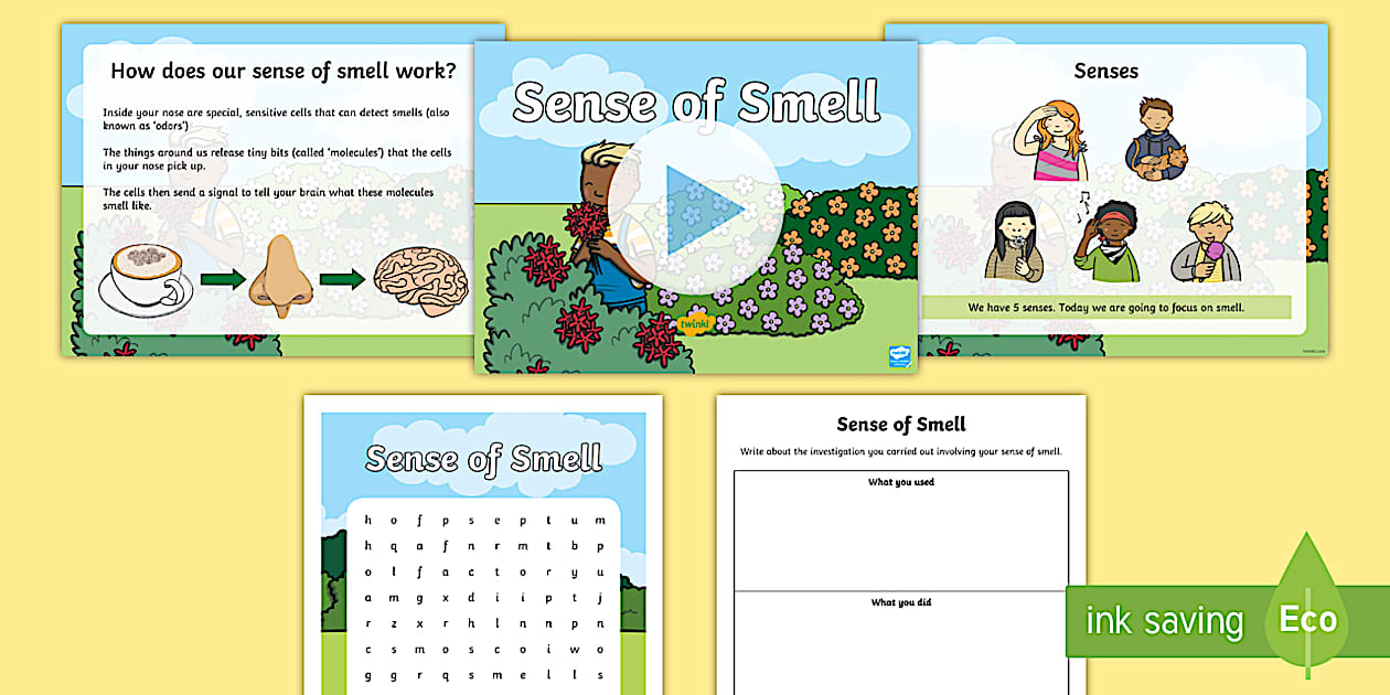 Science Senses Smell PowerPoint (teacher made) - Twinkl