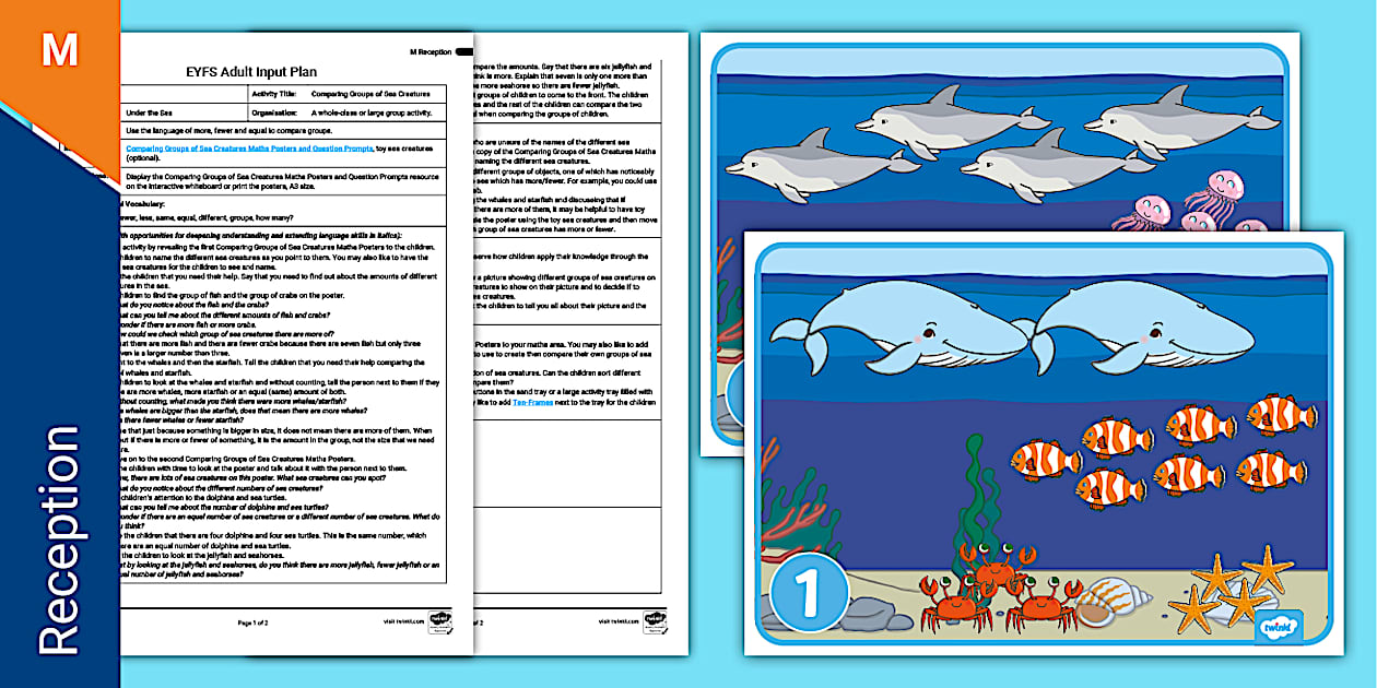 EYFS Comparing Groups of Sea Creatures Adult Input Plan