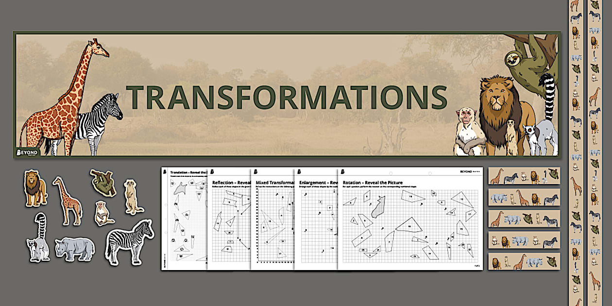 👉 Student Work Display Pack - Safari Transformations