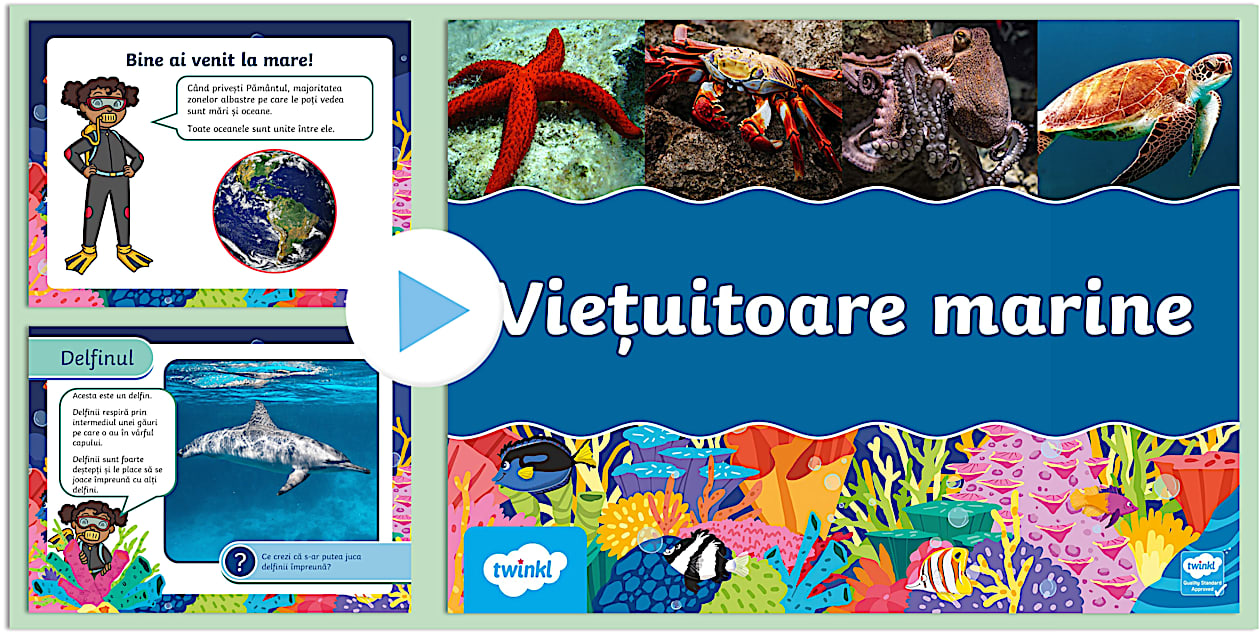 Viețuitoare marine – PowerPoint informativ - Twinkl