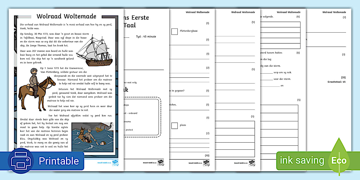 Grade 4 FAL Afrikaans FAL - Term 2 - Midterm Assessment (CAPS Aligned)