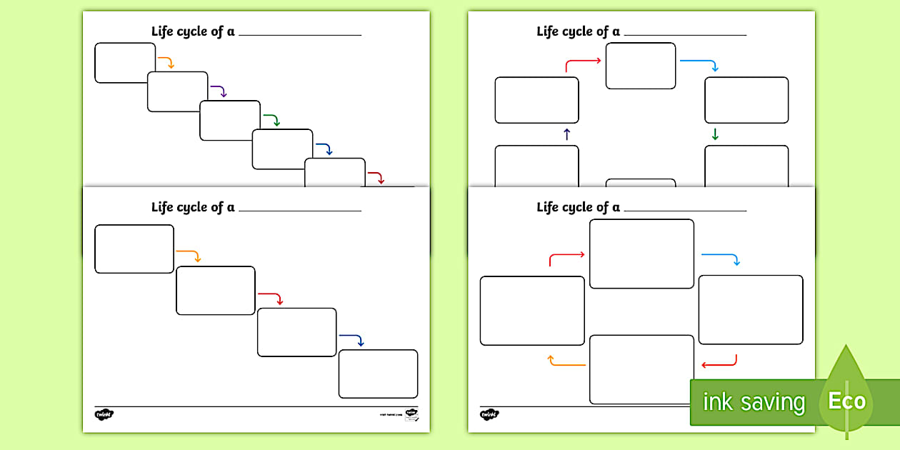 Editable Life Cycle Template Worksheets (Minibeasts)