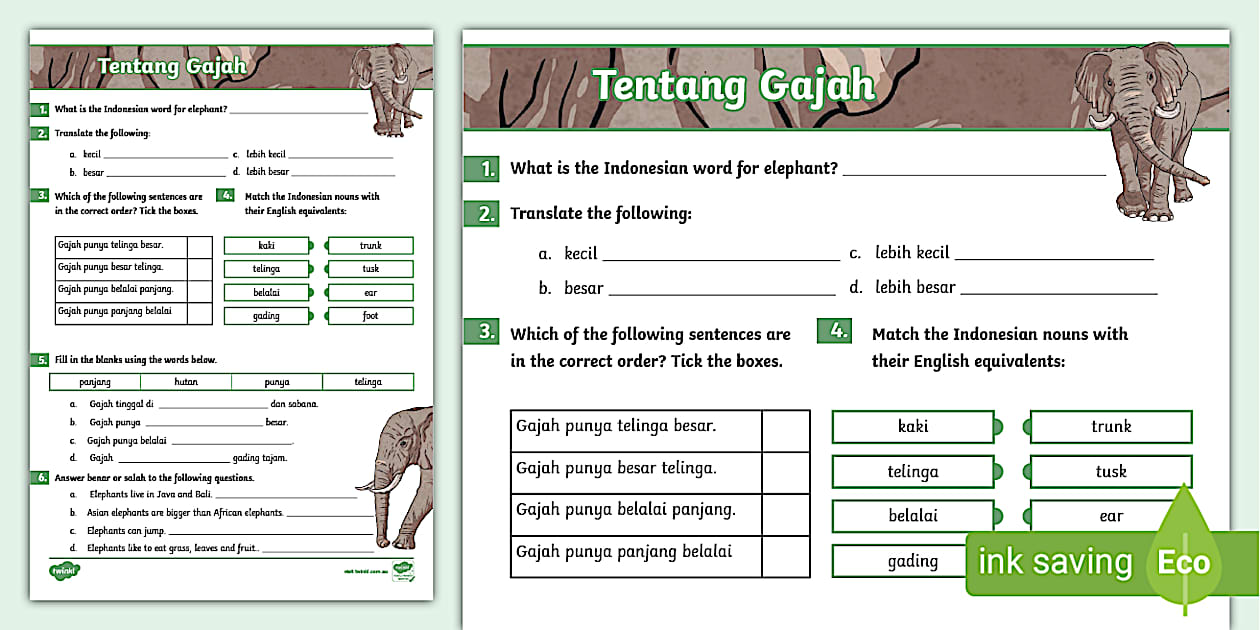 Indonesian Animals: All About Elephants Upper Primary