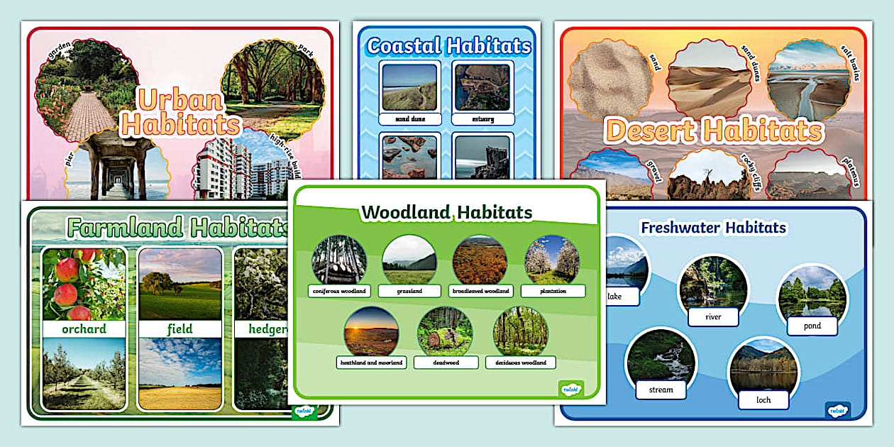 Habitat Photo Display Poster Pack (teacher made) - Twinkl