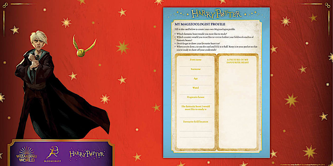 FREE! - Harry Potter KS2 Character Description Magizoologist Profile