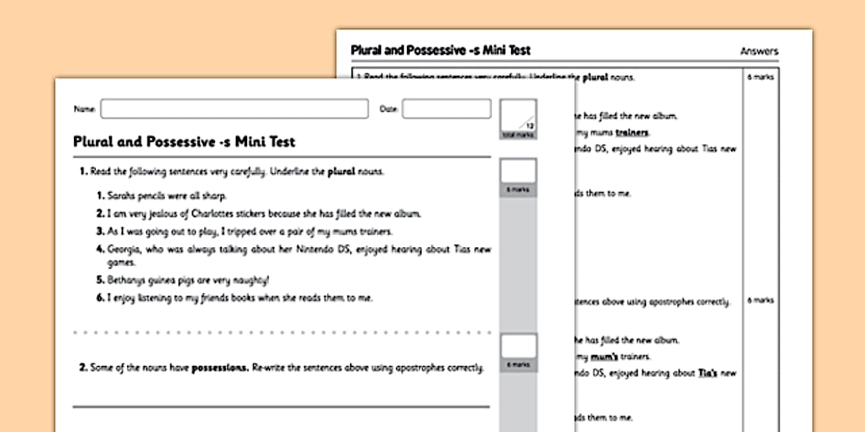 Plural and Possessive s Mini Test Worksheet / Worksheet