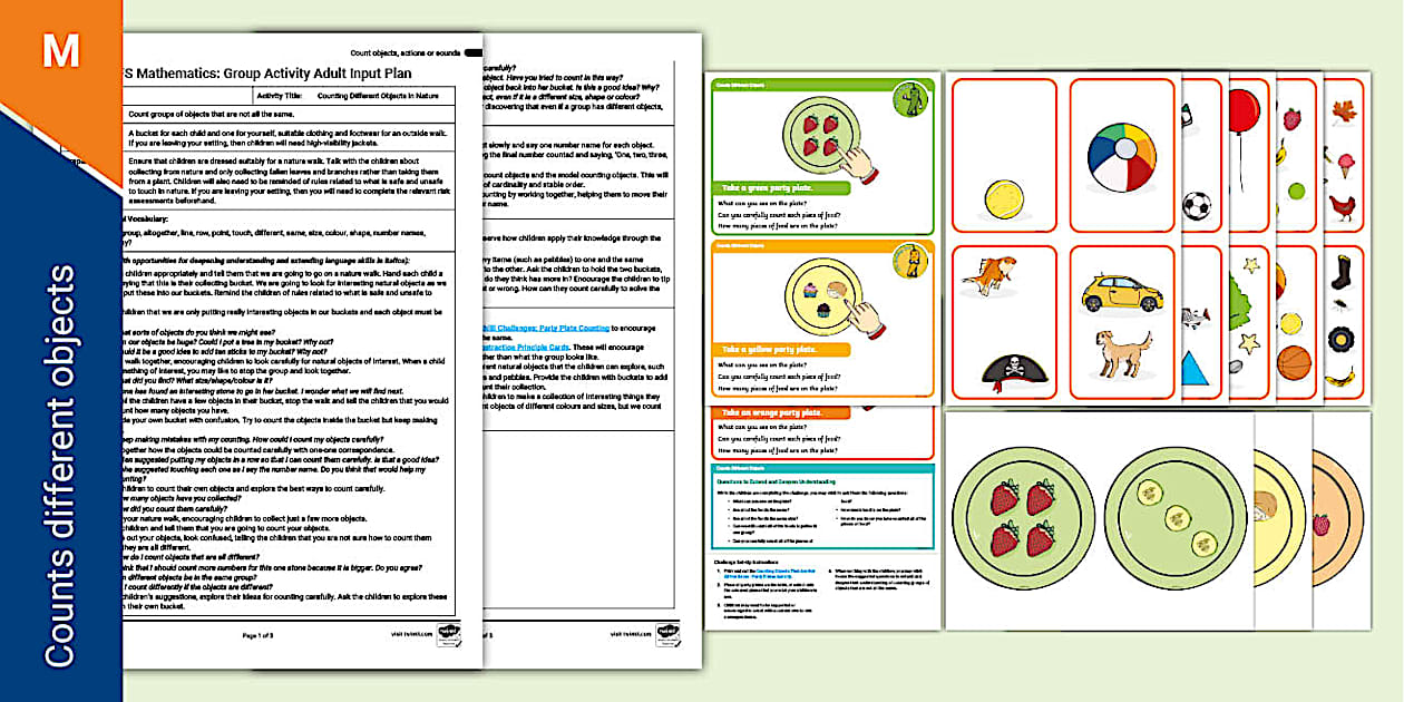 Eyfs Counting Different Objects In Nature Adult Input Plan