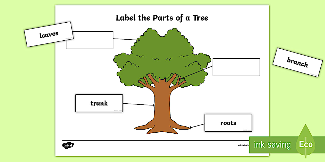 Label the Parts of a Tree Worksheet - - Twinkl