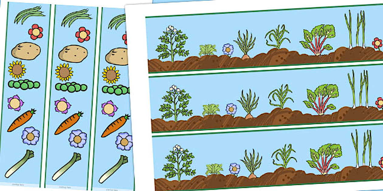 Grow Your Own Display Borders (teacher made) - Twinkl