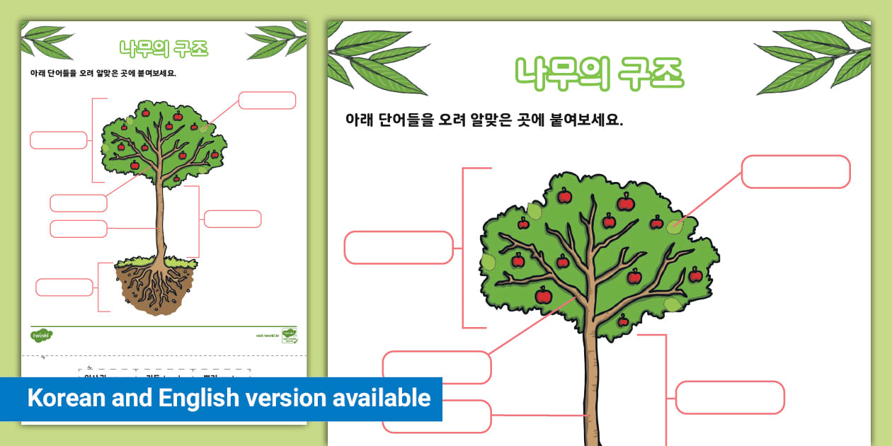 FREE! - 식물의 구조 | 나무의 구조 빈칸 채우기