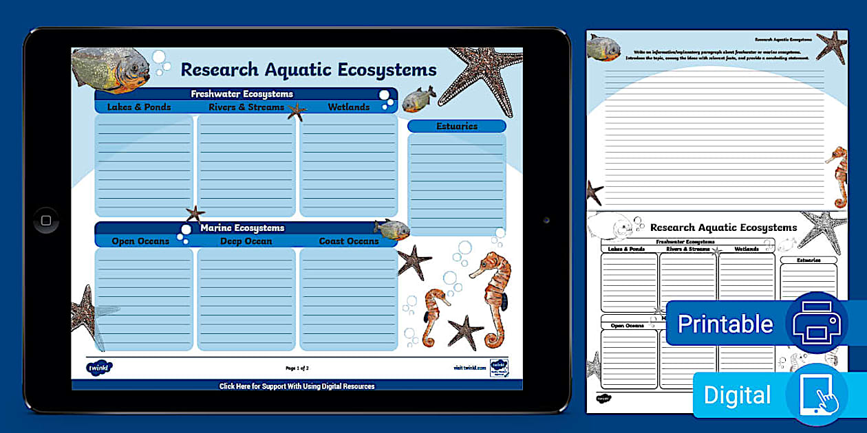 Research Aquatic Ecosystems Graphic Organizer and Writing