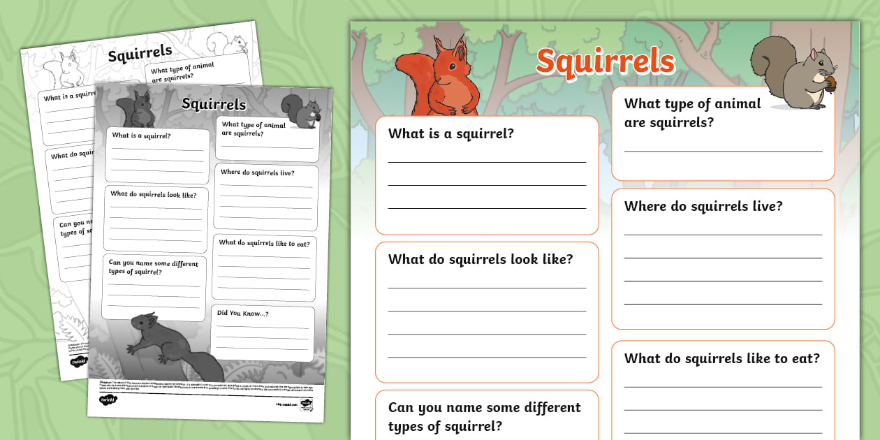 Squirrels Fact File (teacher made) - Twinkl
