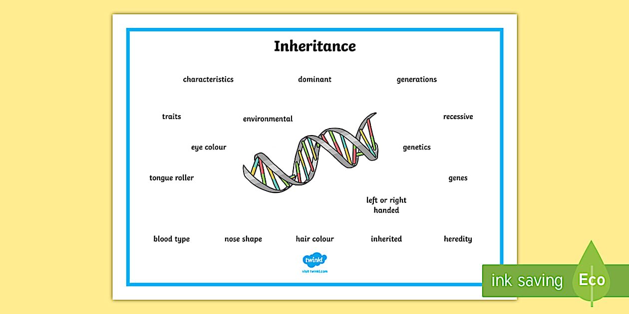 Inheritance Word Mat (Teacher-Made) - Twinkl