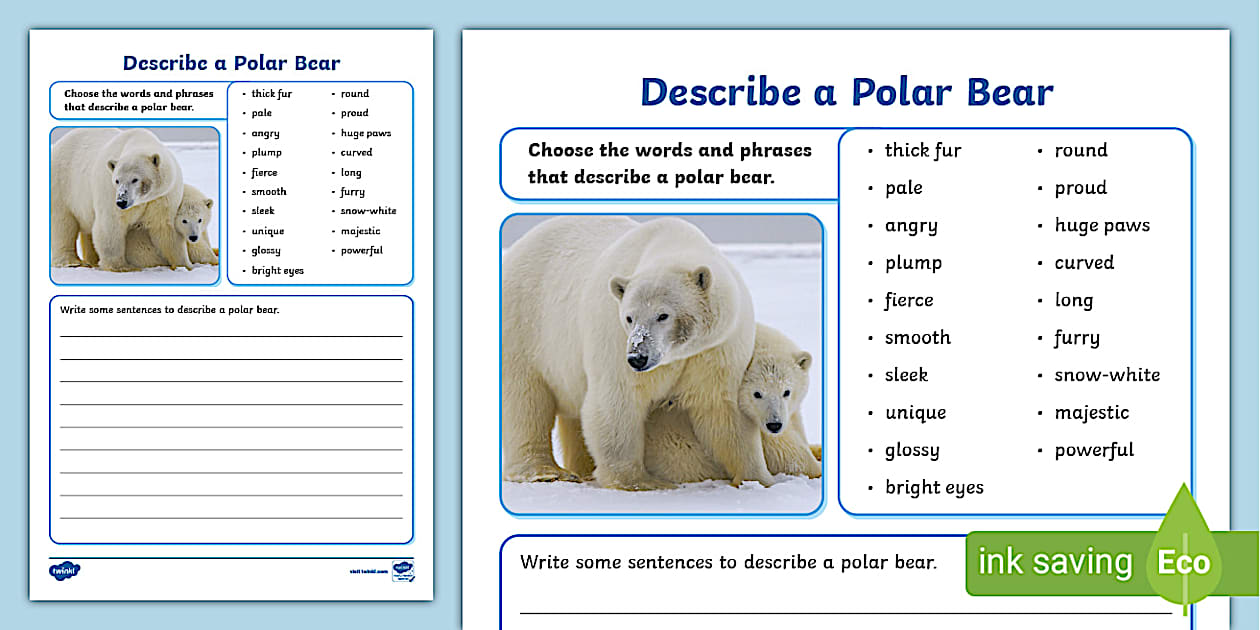 Describe a Polar Bear Worksheet,polar bear