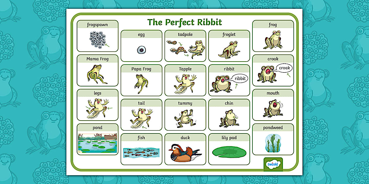 The Perfect Ribbit Word Mat (teacher made) - Twinkl