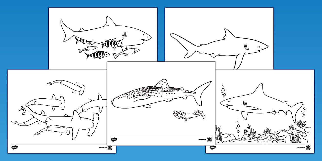 Fun Coloring Sheet Shark Pack for Kids | Twinkl USA - Twinkl