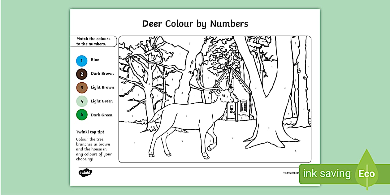 Deer Colour by Number (teacher made) - Twinkl