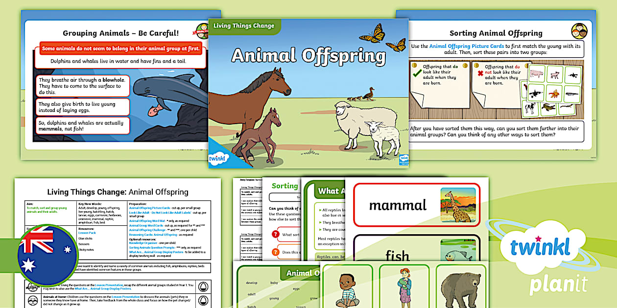 Year 2 Science Living Things Change Lesson 1 (teacher made)
