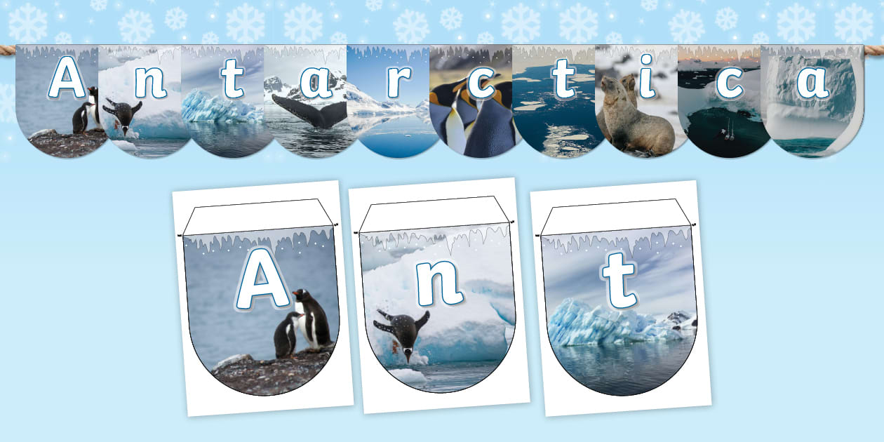 Antarctica Photo Display Bunting (Teacher-Made) - Twinkl