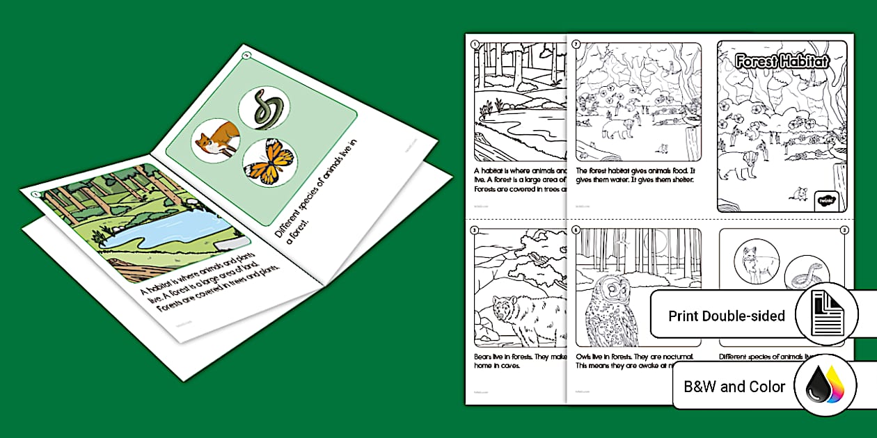 Forest Habitat Emergent Reader (teacher made) - Twinkl