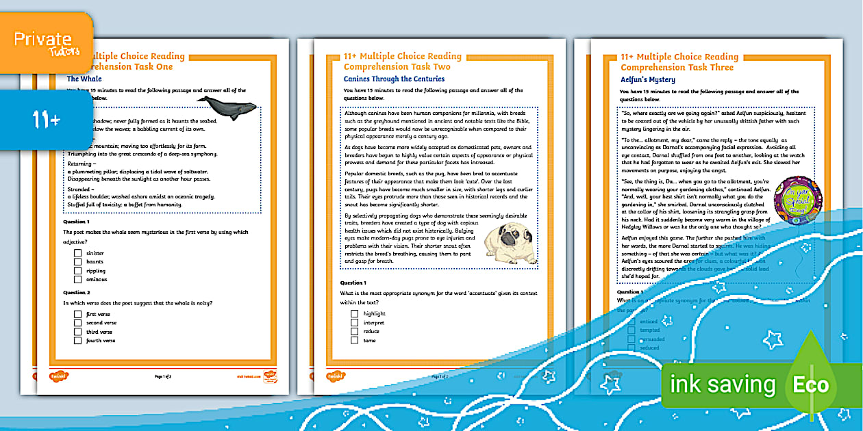 11 Plus Comprehension with Answers | Reading Comprehension