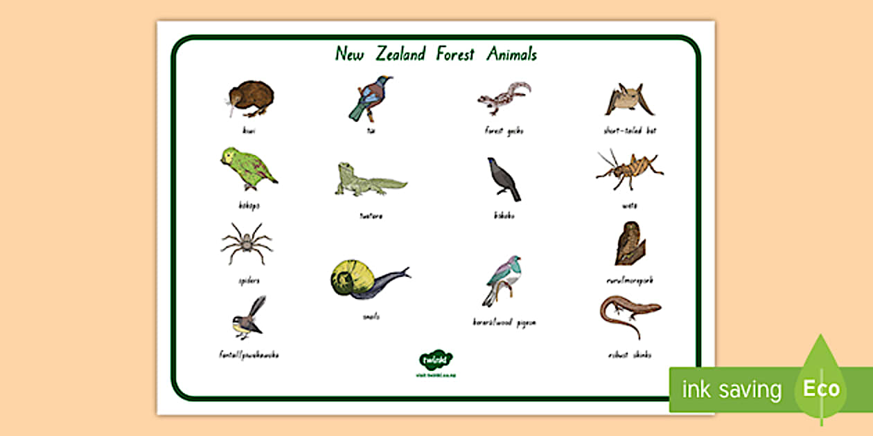 New Zealand Forest Animals Word Mat (teacher made) - Twinkl