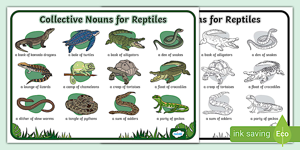 Reptiles Collective Nouns Word Mat (teacher made) - Twinkl
