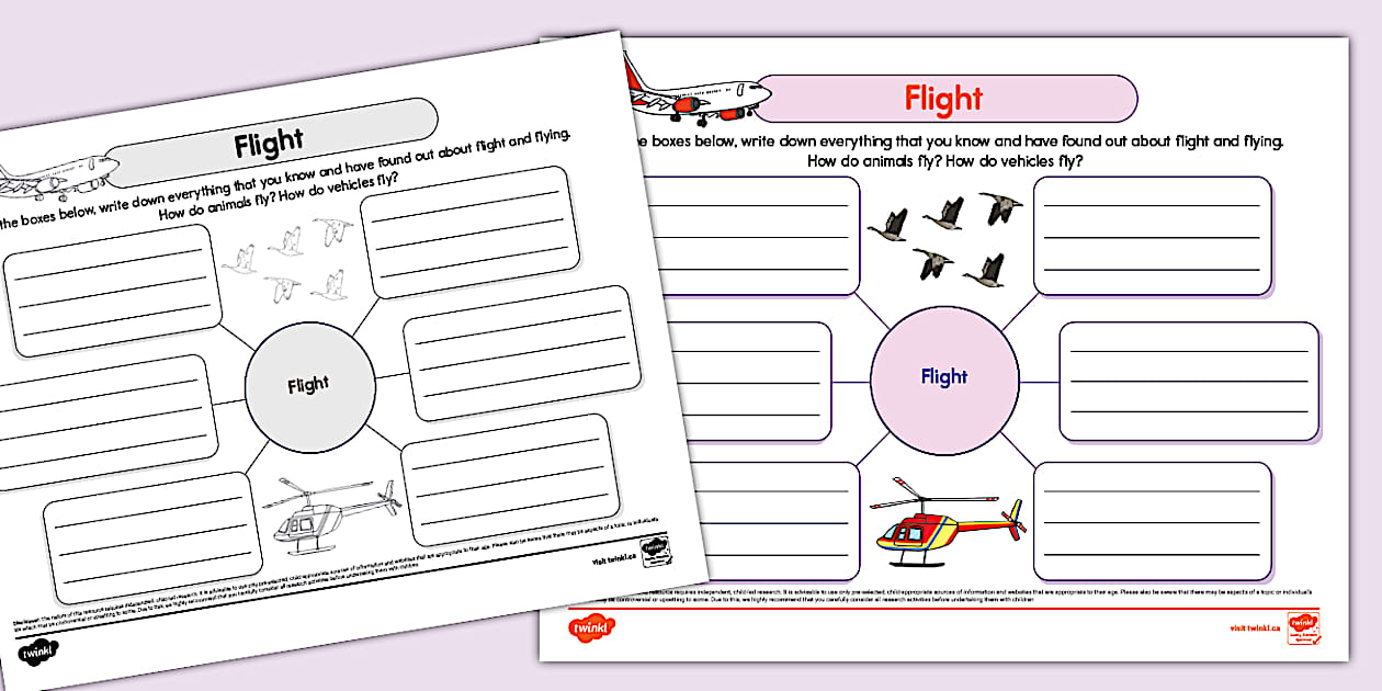 Flight Mind Map (teacher made) - Twinkl