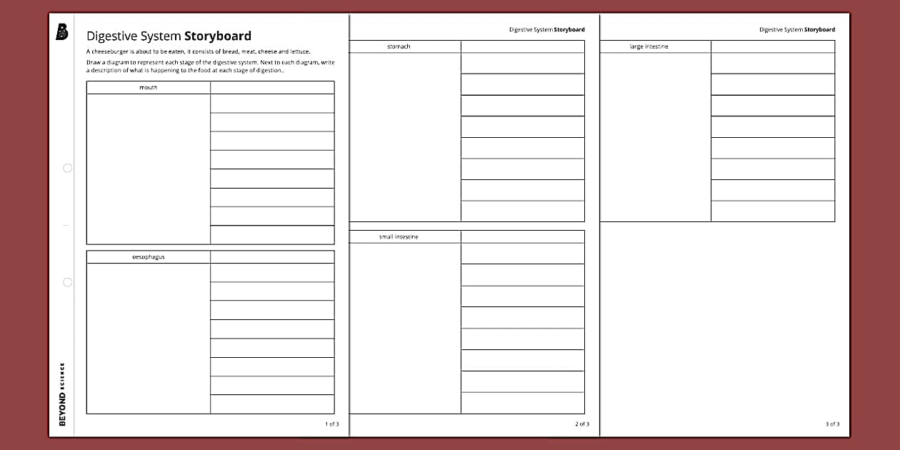 Digestive System Storyboard - Beyond Science - Secondary