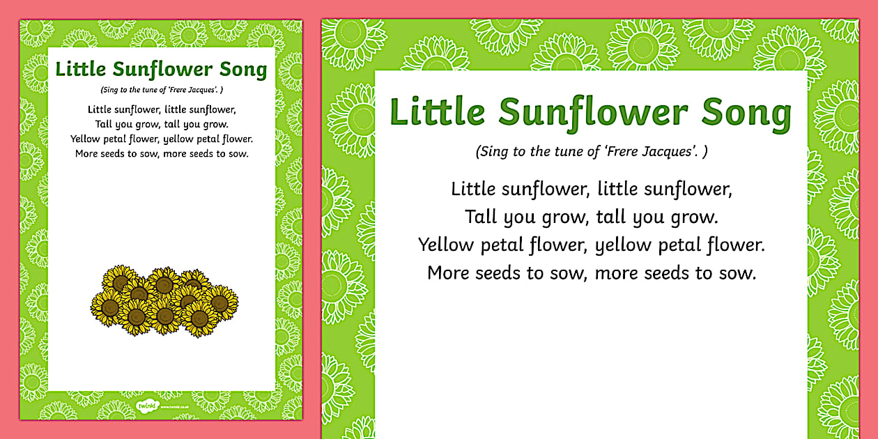 Little Sunflower Song (teacher made) - Twinkl