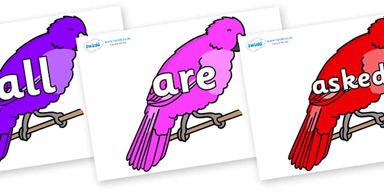 Tricky Words on Parakeets (teacher made) - Twinkl