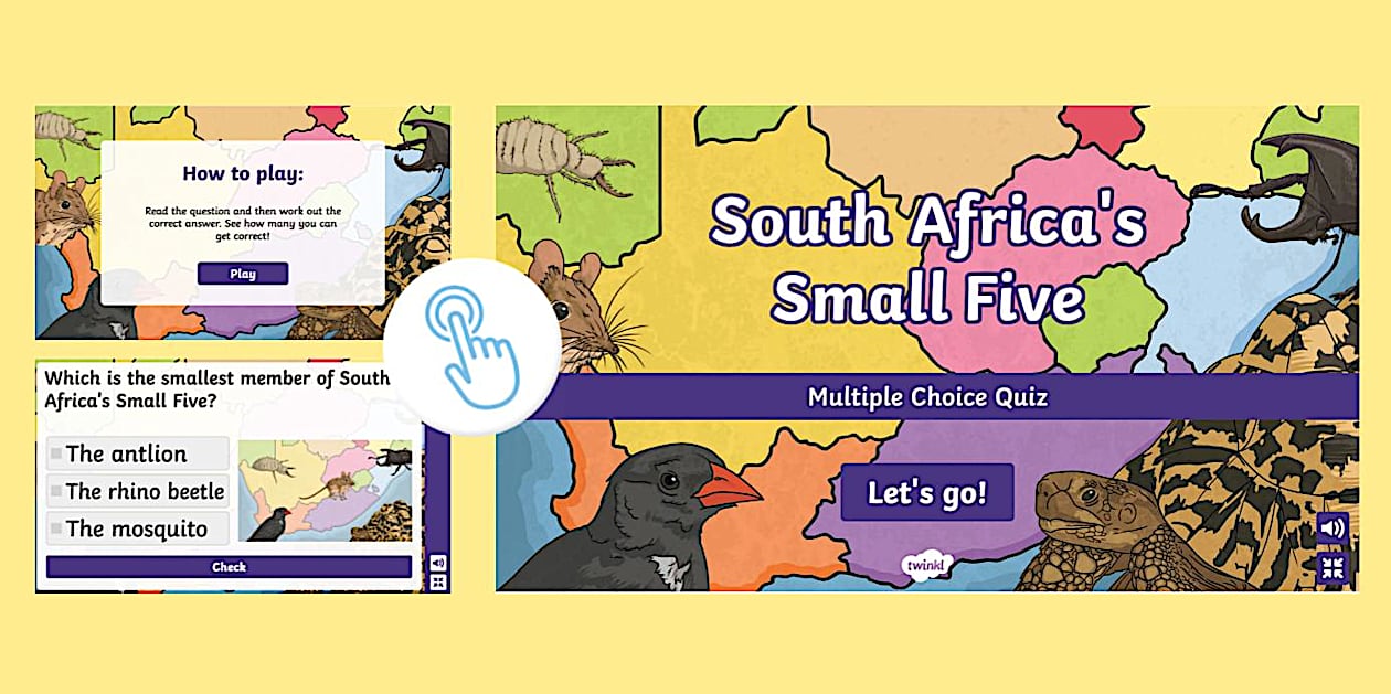 South Africa's Small Five Quiz (teacher made) - Twinkl