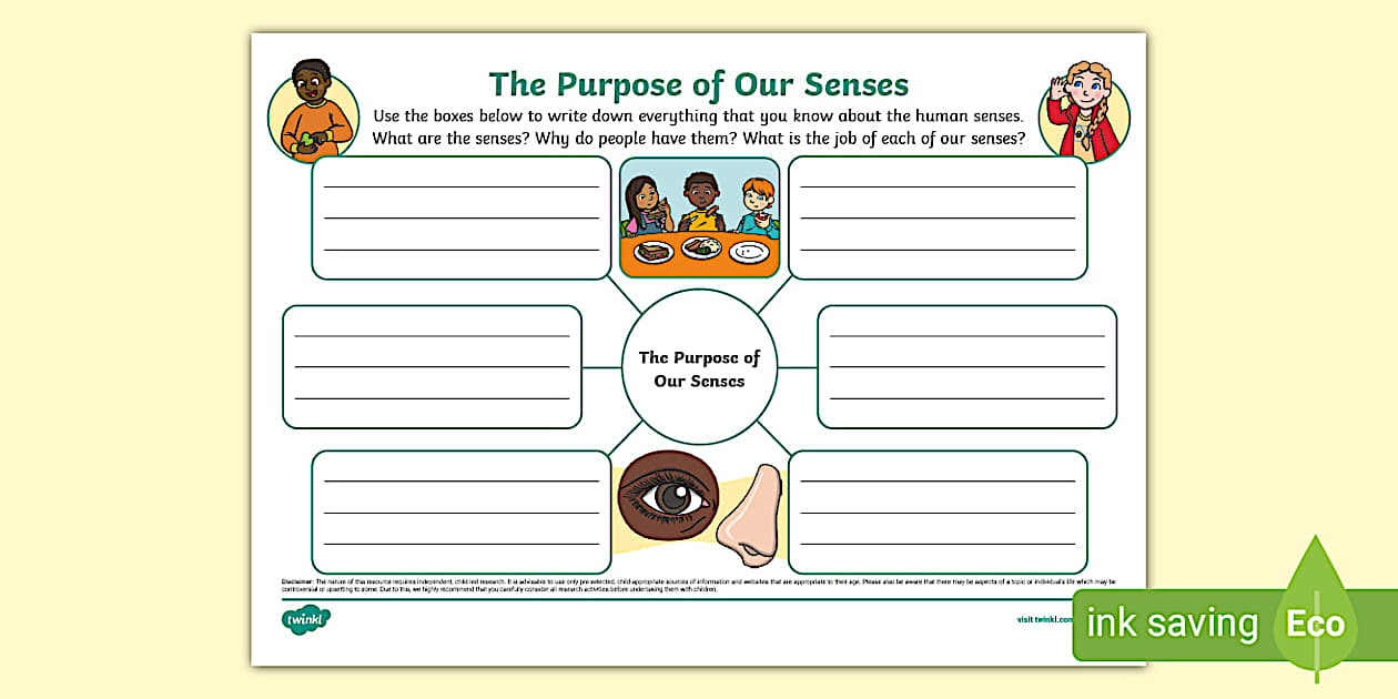 The Purpose of Our Senses Mind Map