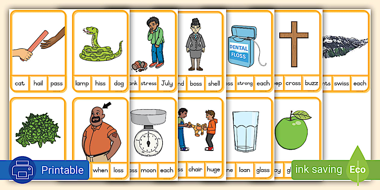 Grade 2 Phonics: -ss Sound Peg Card Activity