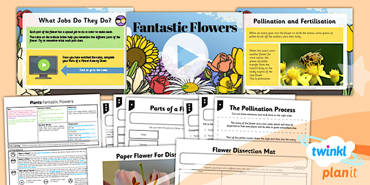 Detailed Lesson Plan About Parts of the Flower | Year 3 Pack