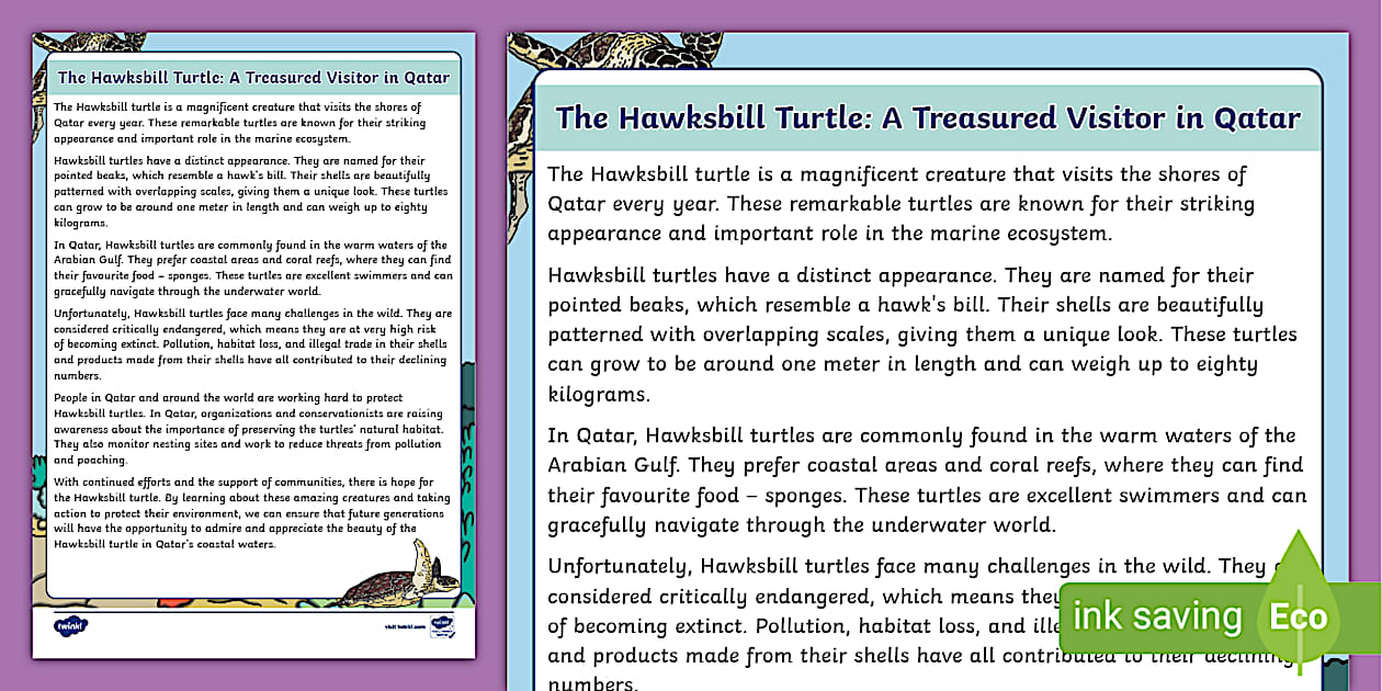 The Hawksbill Turtle Fact File (Teacher-Made) - Twinkl