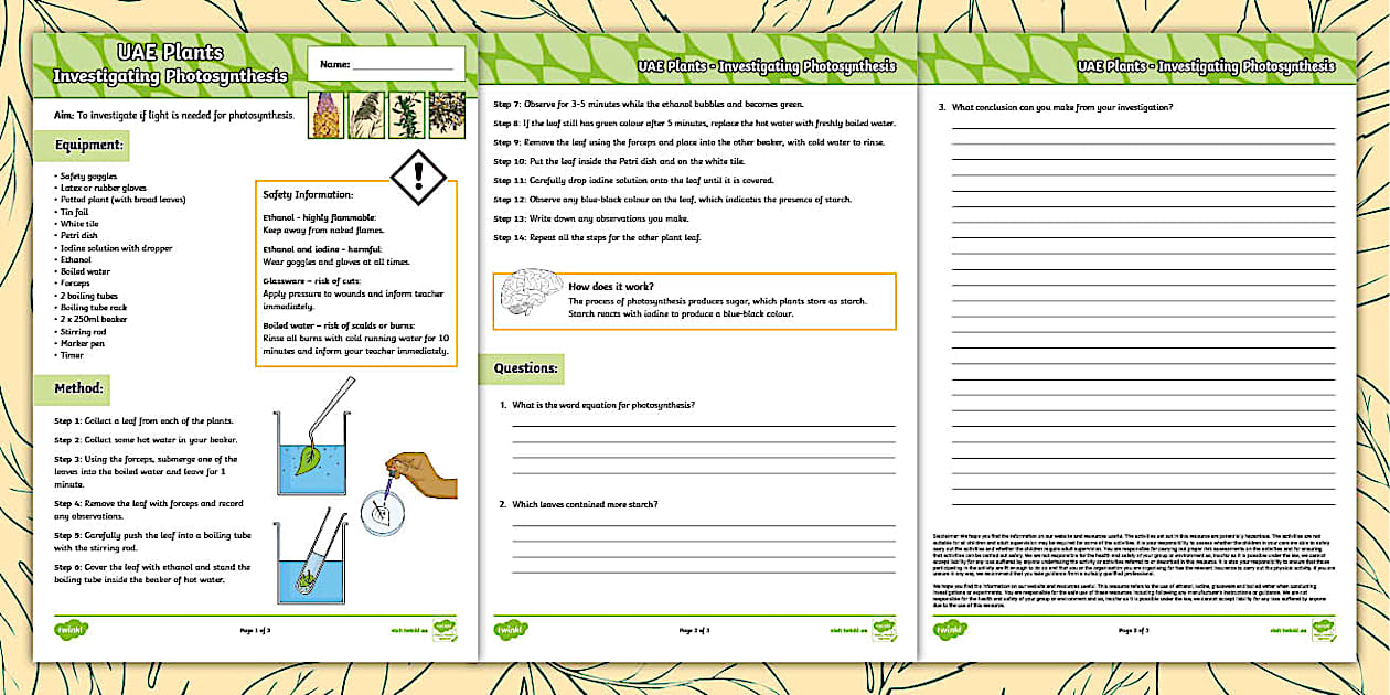 Photosynthesis Experiment - UAE Plants - Twinkl