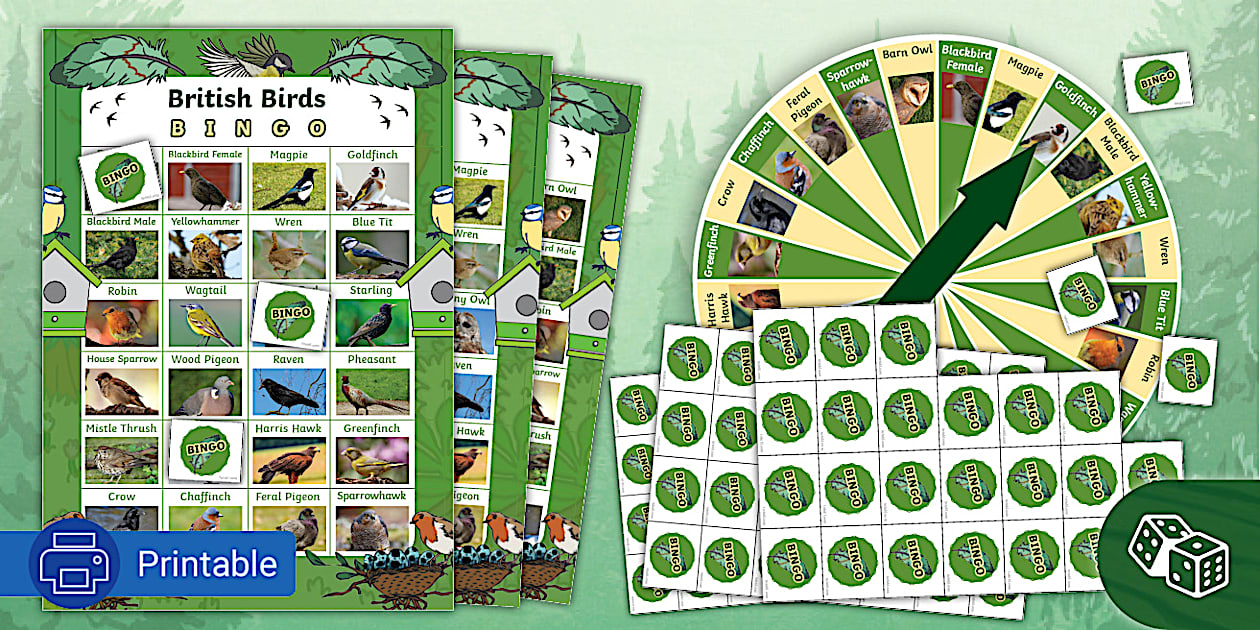 Spring Birds Bingo Game for Spring File Folder Activities