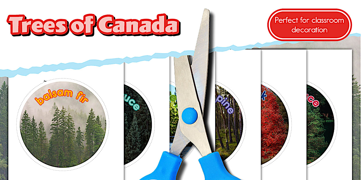 Trees of Canada Circle Display Photo Cut-Outs