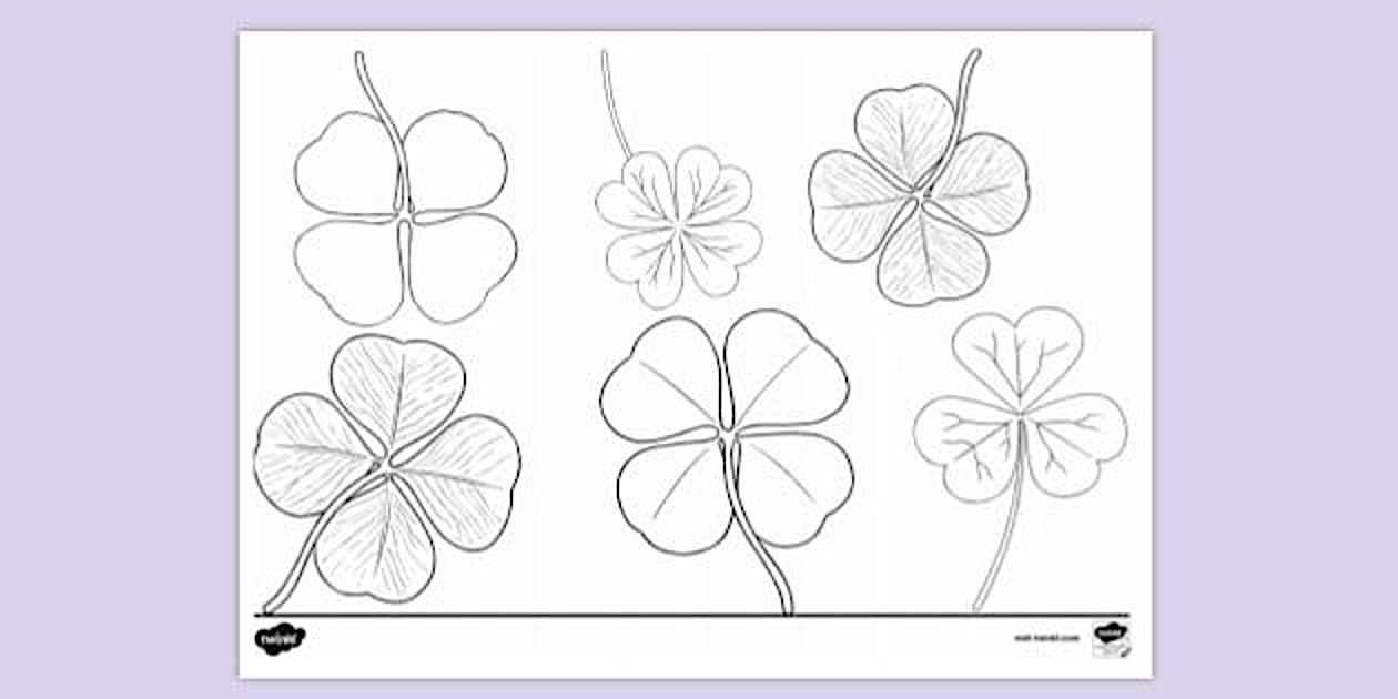 Clover Colouring Page | Colouring Sheets (teacher made)