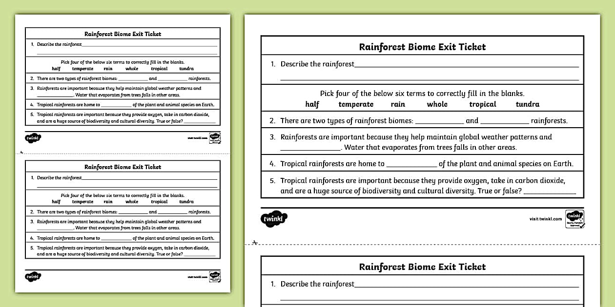 Rainforest Biome Exit Ticket for 6th-8th Grade - Twinkl