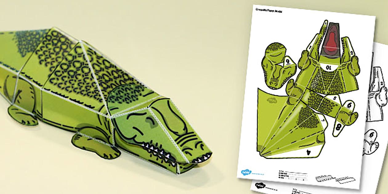 3D Crocodile Paper Model Activity (teacher made) - Twinkl