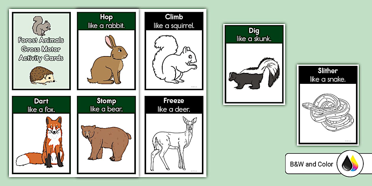 Forest Animals Gross Motor Activity Cards - Twinkl